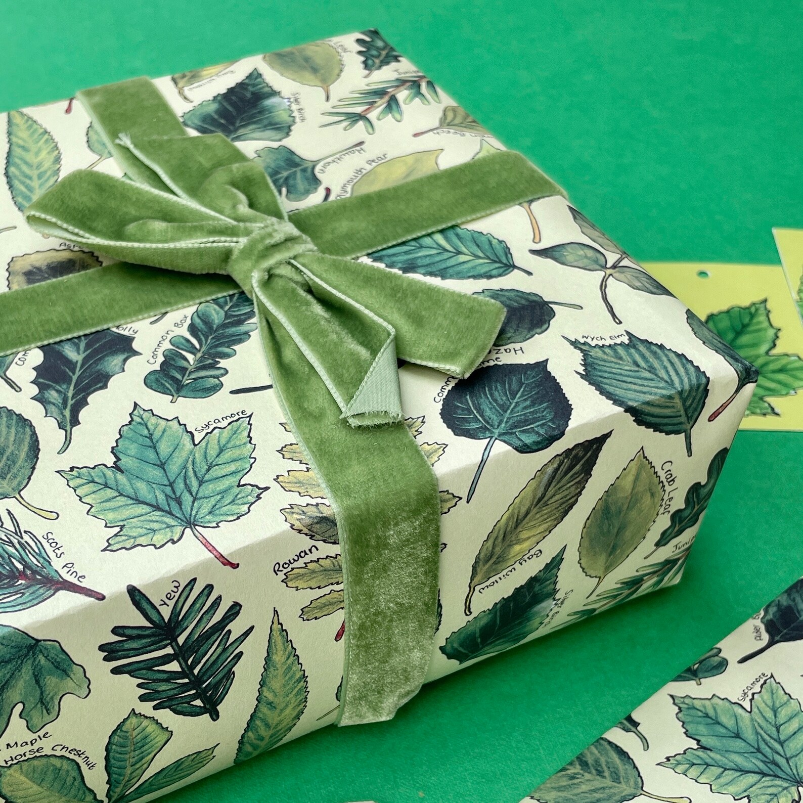 Leaves Wrapping Paper - Leaf Type Paper - British Leaves Gift Wrap ...