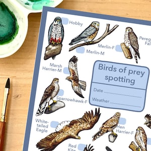 Birds of Prey Spotting Worksheet - Educational Wildlife Printable - Etsy