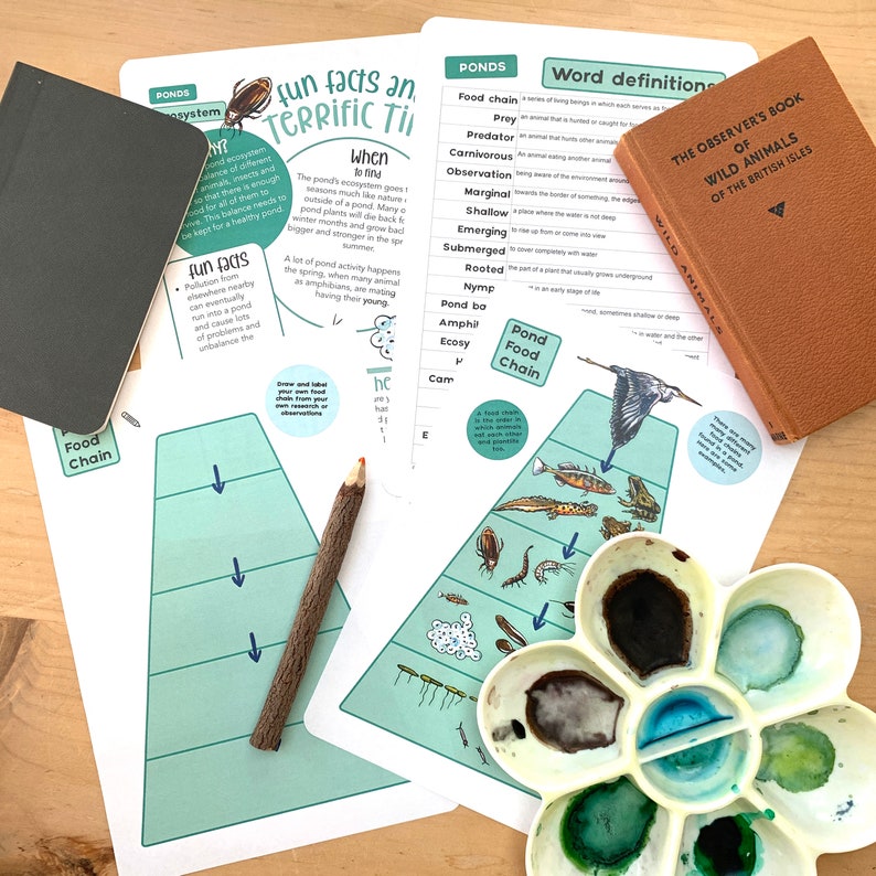 Pond Ecosystem and Food Chains Nature Study Pack Home | Etsy