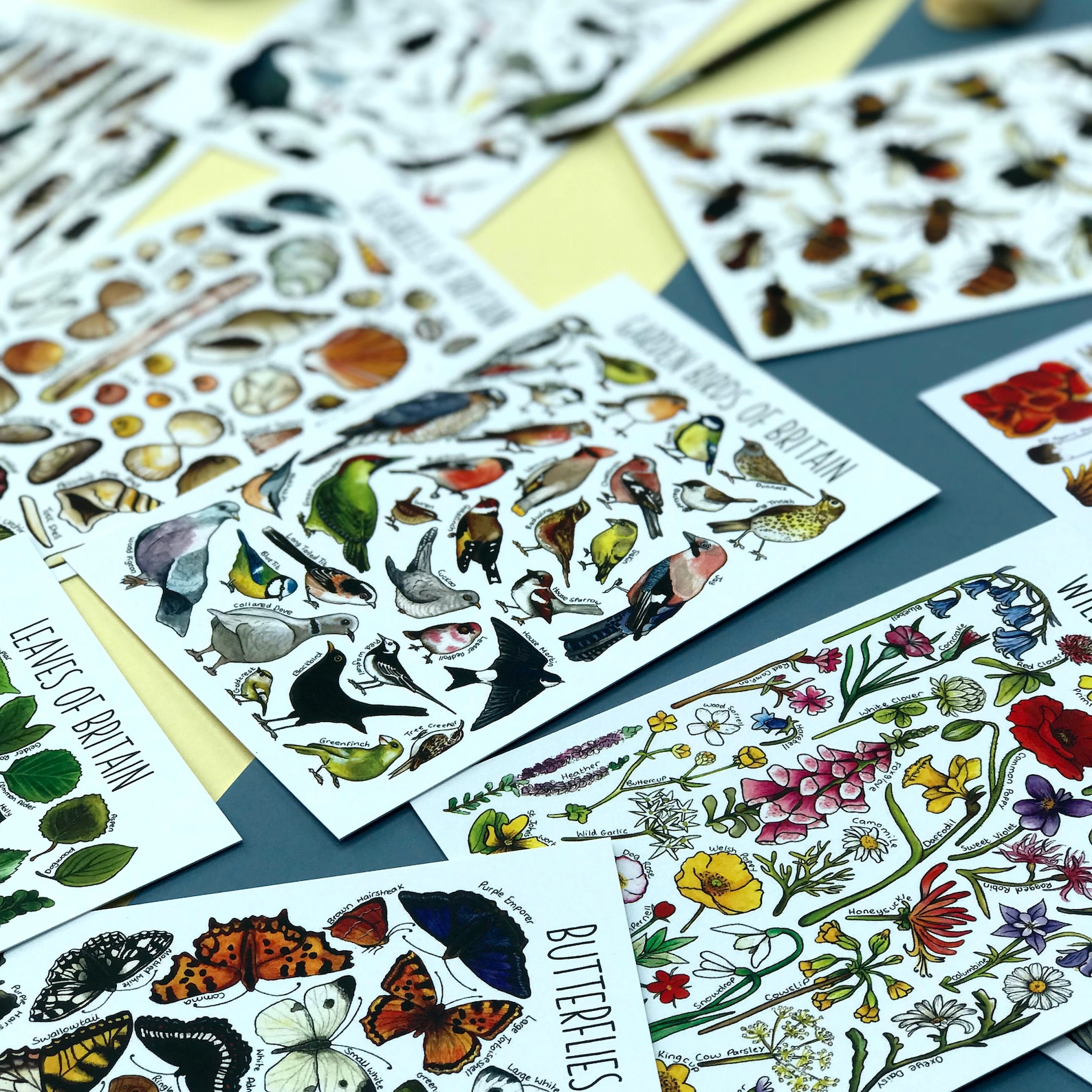 British Wildlife Postcard Pack of Twelve Postcards pack | Etsy