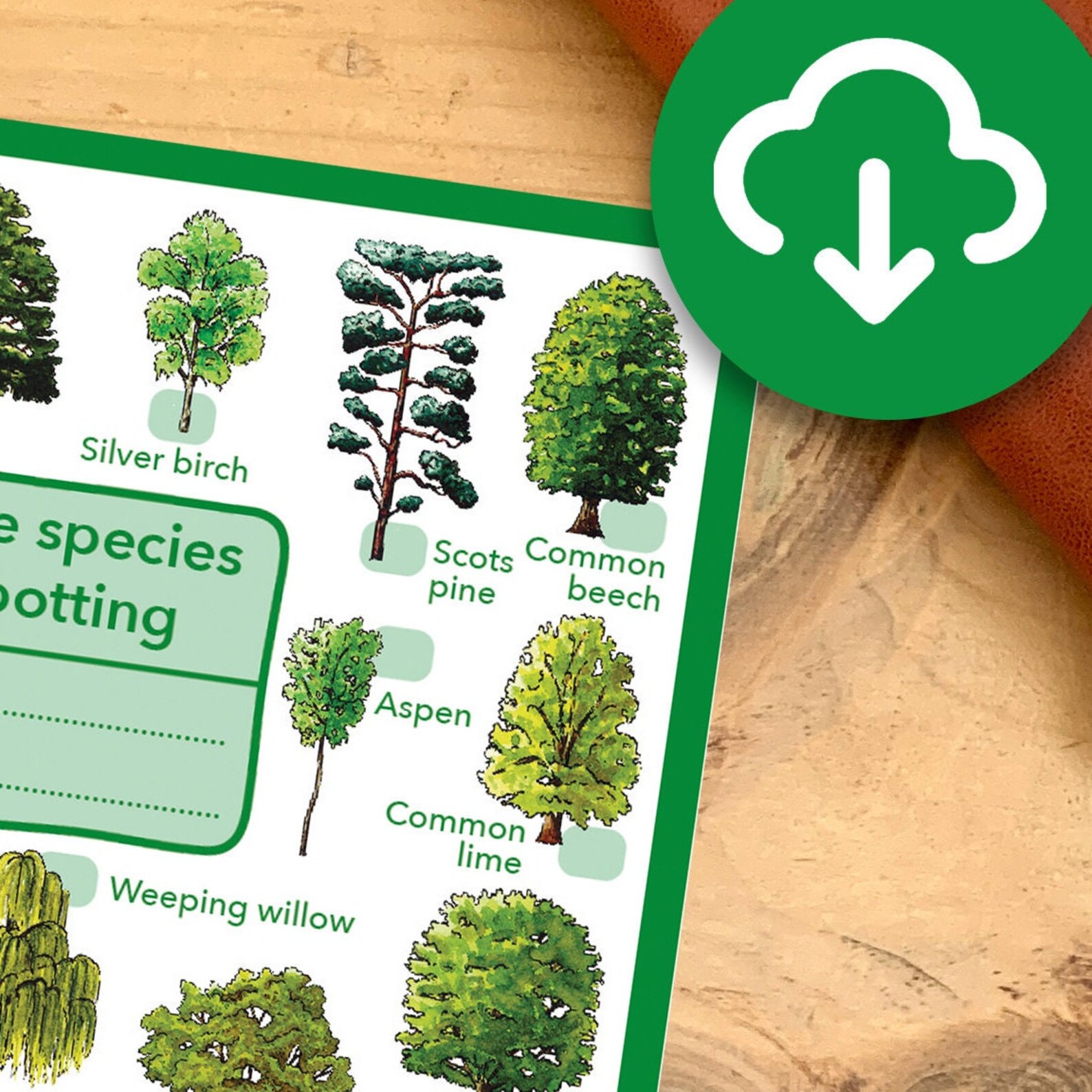 Trees Spotting Worksheet - Educational Wildlife Printable - Etsy