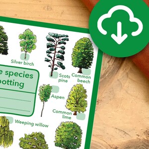 Trees Spotting Worksheet - Educational Wildlife Printable - Etsy