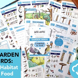Mega Bundle Garden Birds Nature Learning - Three Mini Studies in One ...