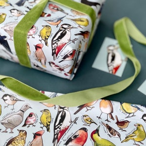 Garden Birds Wrapping Paper - Watercolour Wildlife Birthday Gift Wrap ...