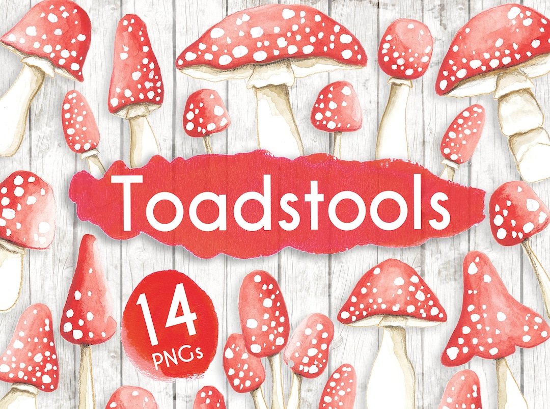 Toadstools Watercolour Clipart - Watercolour Fall - Planner Digital ...