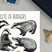 Badger Watercolour Postcard - Cete of Badgers Postcard Notelet - Etsy UK