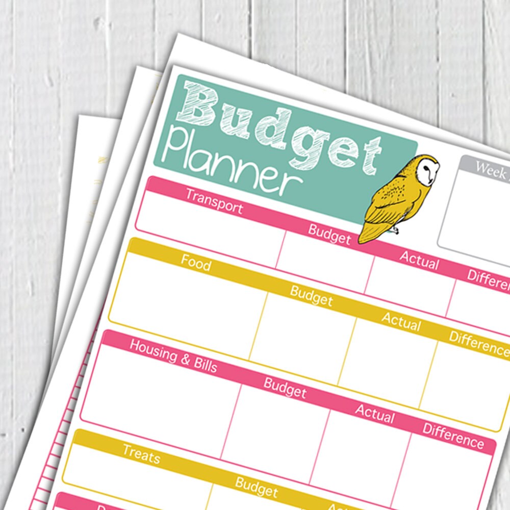 Finance Planner Printable Budget Planner Download Money - Etsy