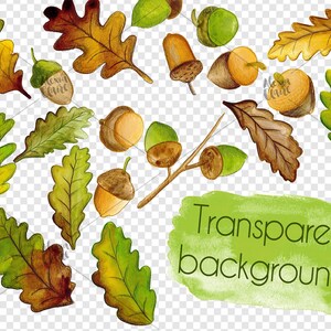 Autumn Oak Leaves Watercolour Clipart - Watercolour Fall - Planner ...