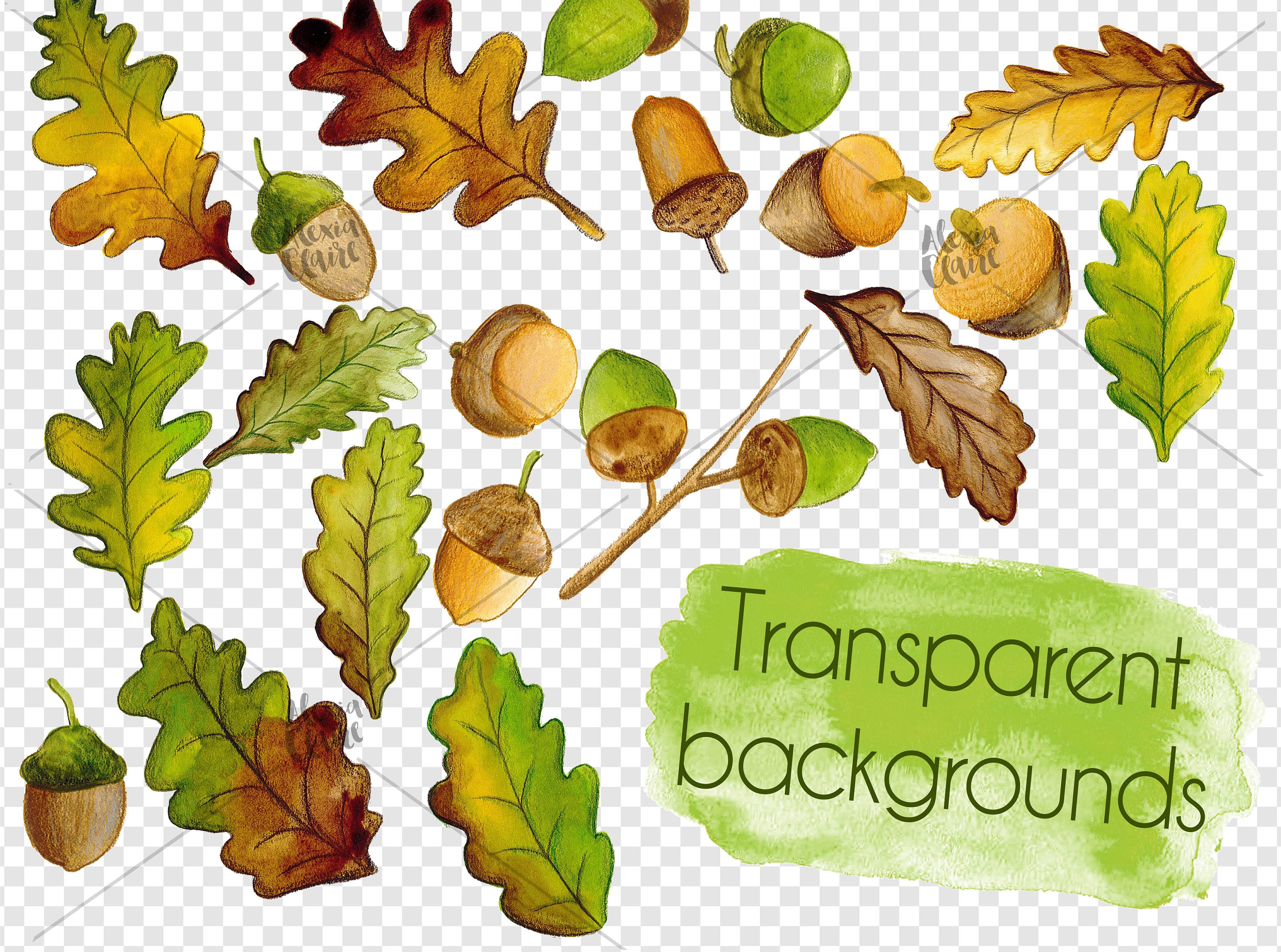 Oak Leaf Acorn Clipart