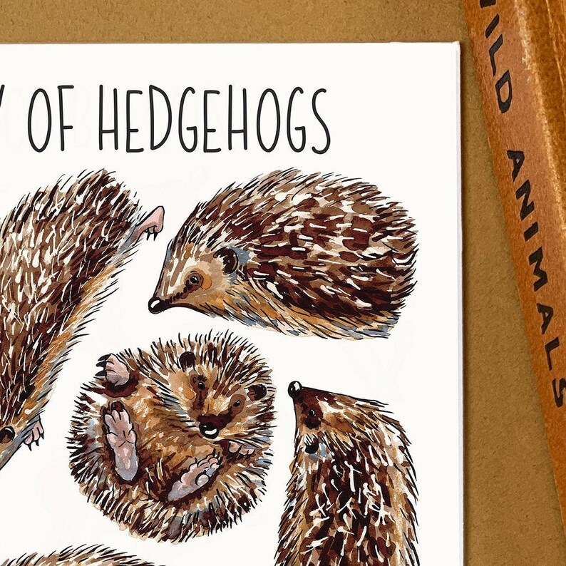 Hedgehogs Watercolour Postcard Array of Hedgehogs Postcard - Etsy UK