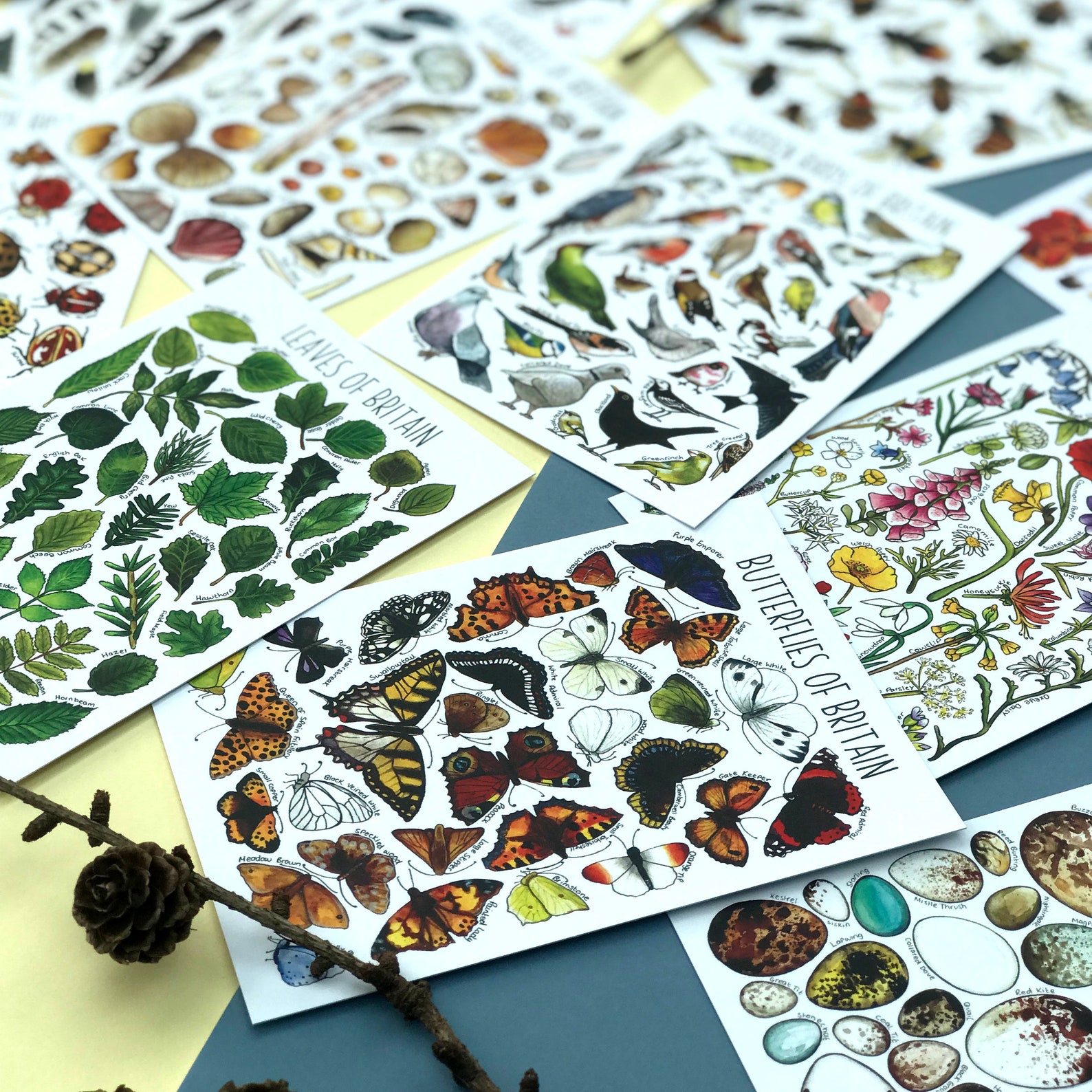 British Wildlife Postcard Pack of Twelve Postcards Pack - Etsy