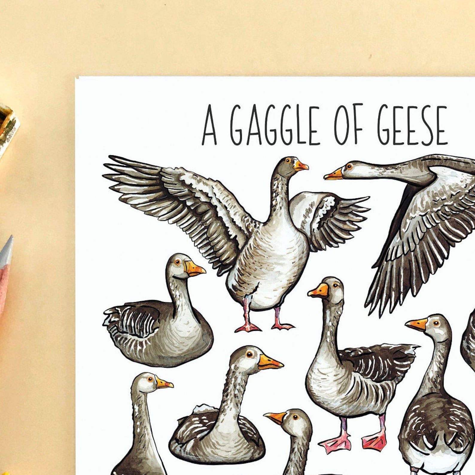 Gaggle of Geese Watercolour Postcard Illustrated Wildlife | Etsy UK
