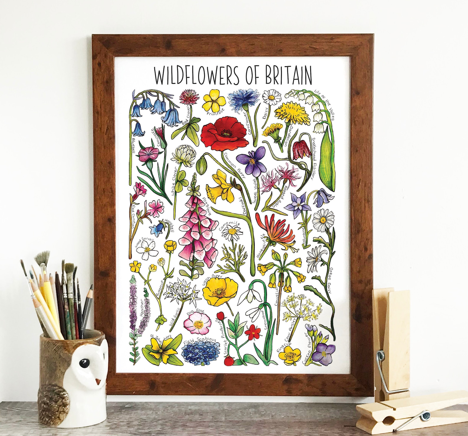 Wildflowers of Britain Print, Flowers Poster, Floral Collection ...