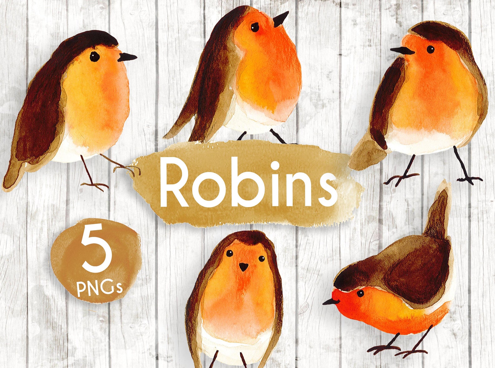 Robin Clipart Robins Watercolour Clip Art Robin - Etsy
