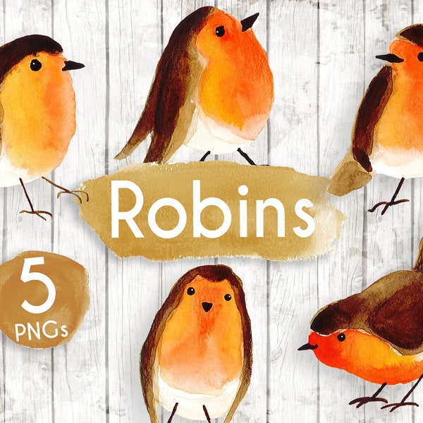 Christmas Robin Png - Etsy