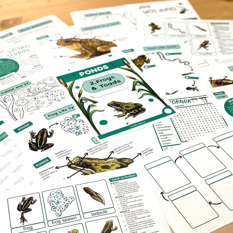 Frogs and Toads Nature Study Pack - Educational Pond Printable - Home ...