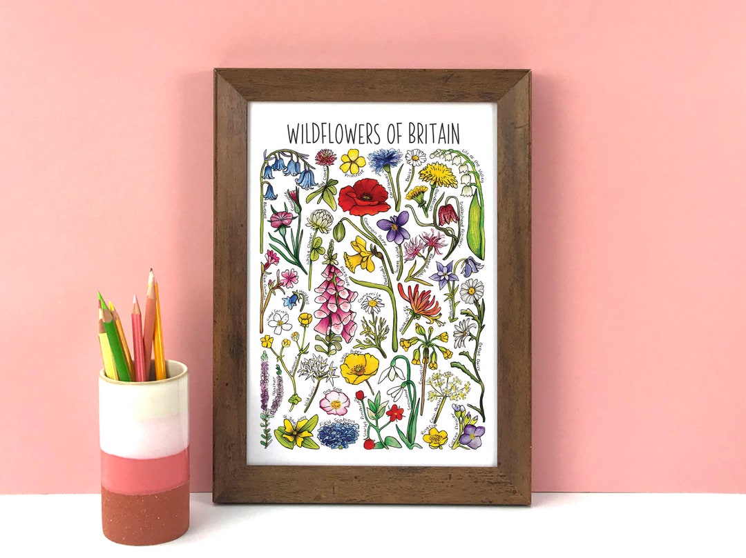 Wildflowers of Britain Print, Flowers Poster, Floral Collection ...
