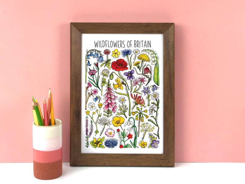Wildflowers of Britain Print, Flowers Poster, Floral Collection ...