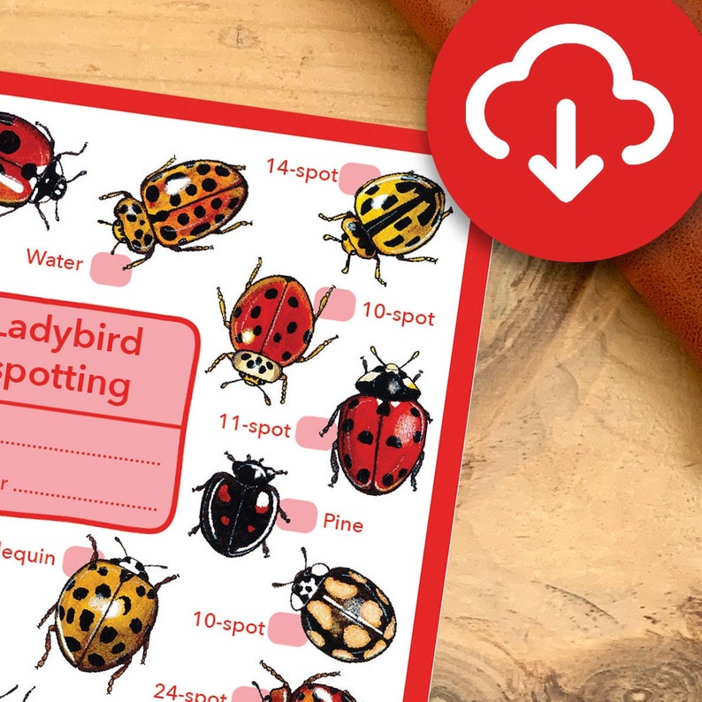 Ladybirds Spotting Worksheet Educational Wildlife Printable - Etsy