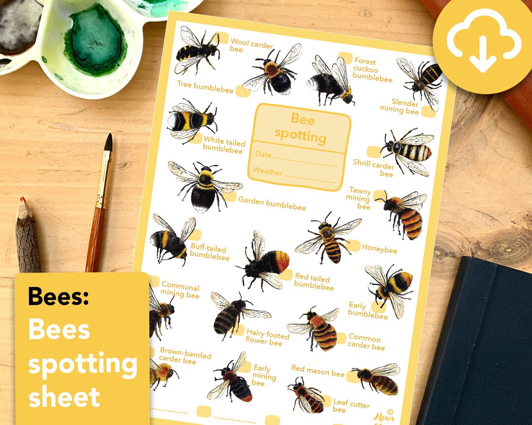 Bees Spotting Worksheet - Educational Wildlife Printable - Etsy