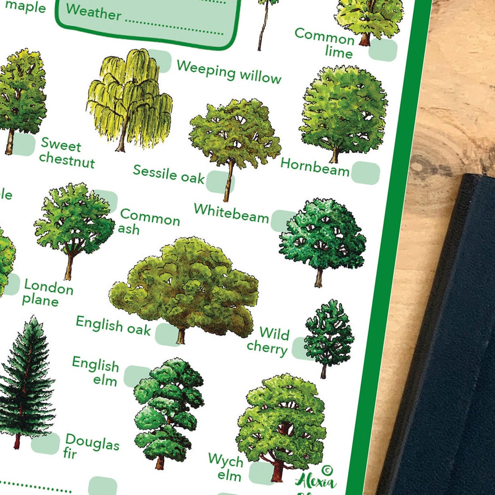 Trees Spotting Worksheet - Educational Wildlife Printable - Etsy