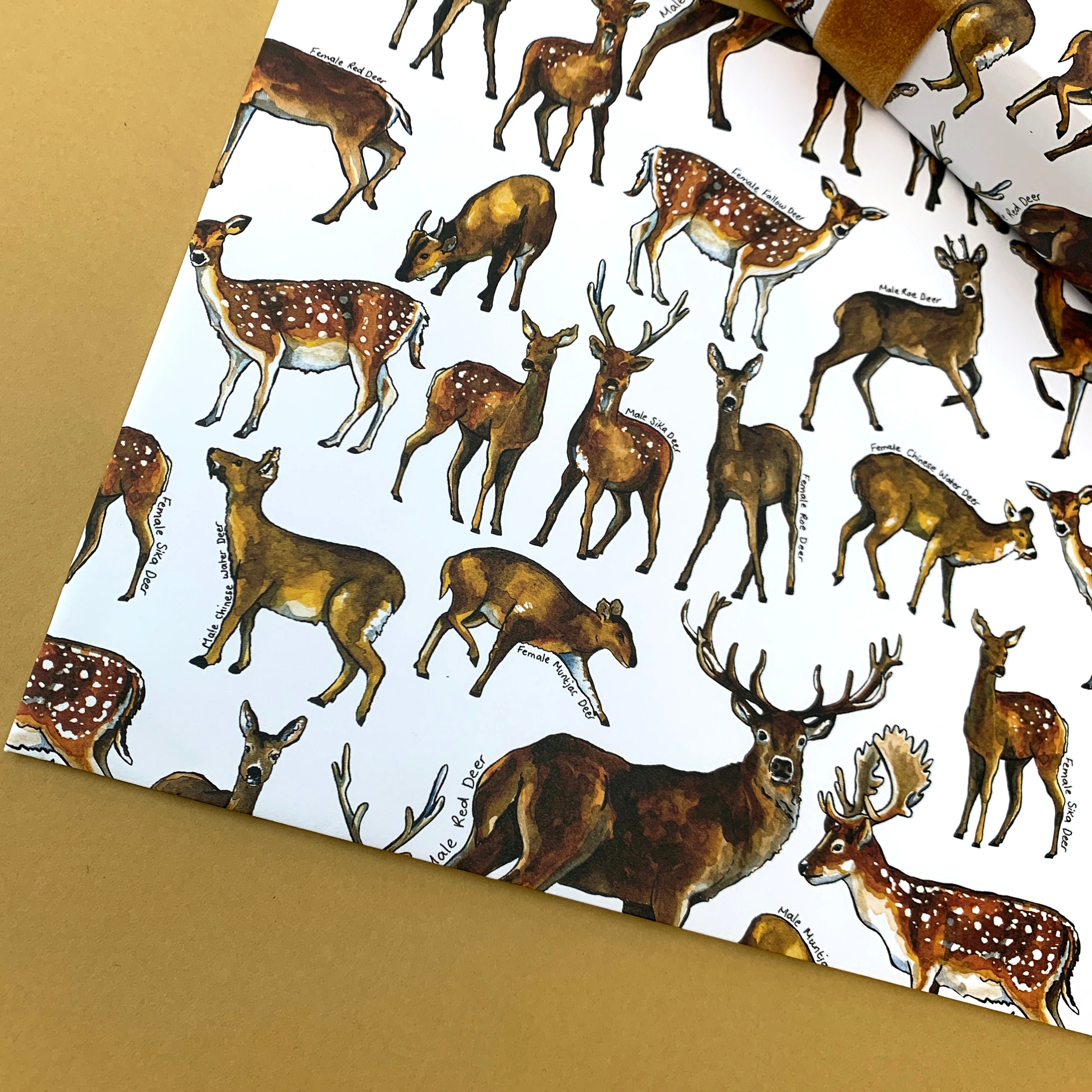 Deer and Stag Wrapping Paper Stag Birthday Gift Wrap - Etsy UK