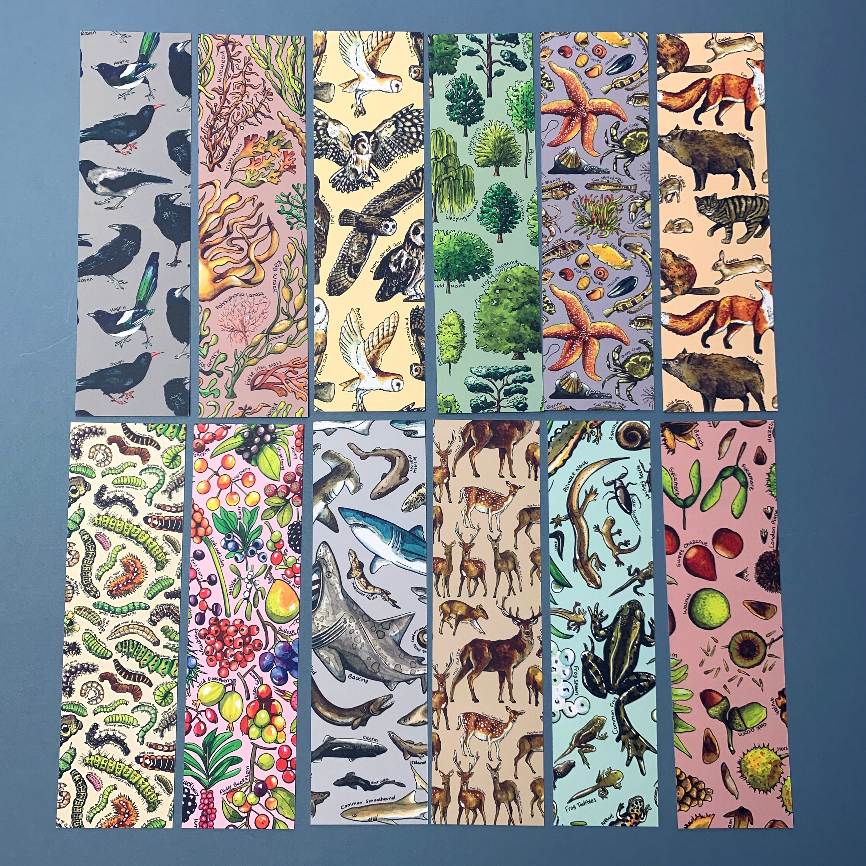 British Wildlife Bookmarks Set of 12 Volume 2 | Etsy