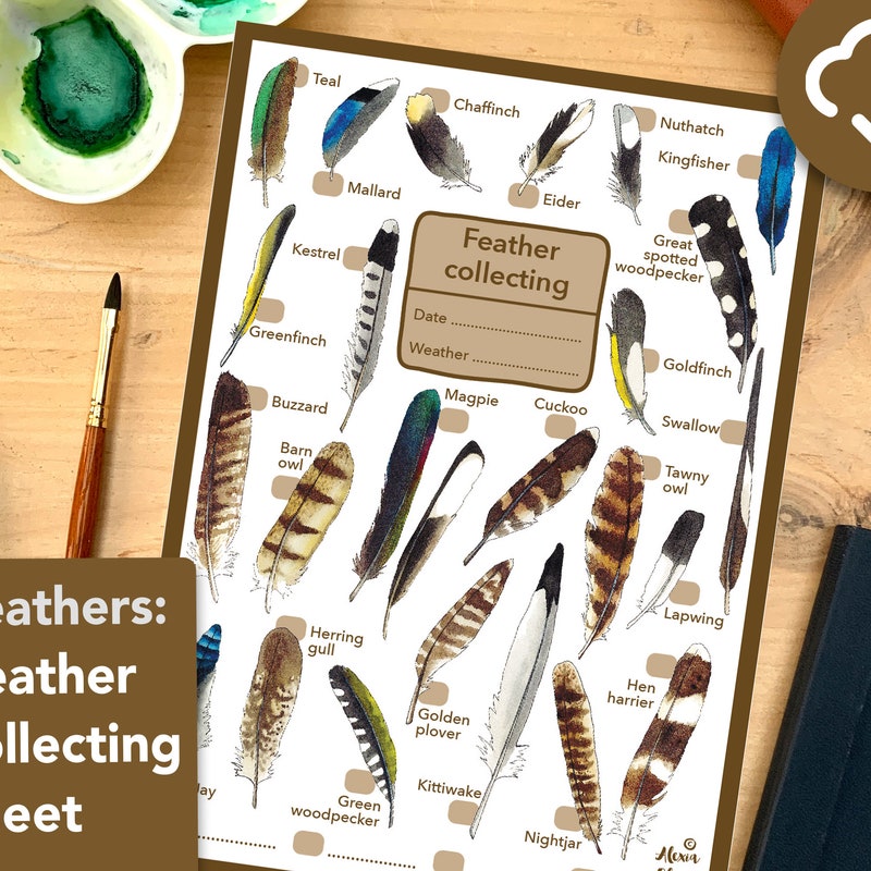 Feather Poster - Etsy