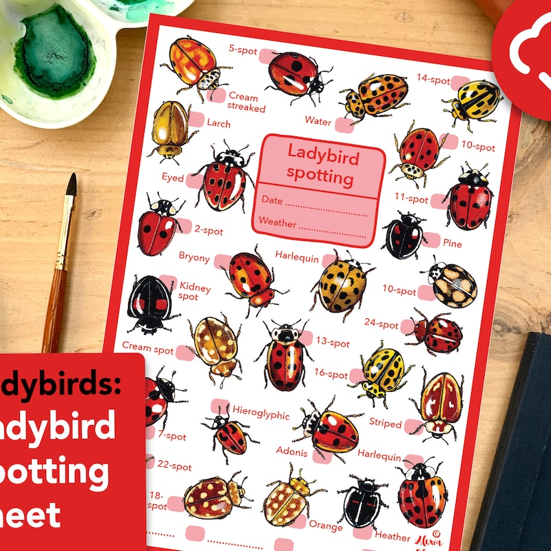 Ladybird Template - Etsy UK