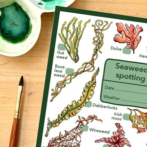Seaweed Spotting Worksheet - Educational Wildlife Printable - Etsy