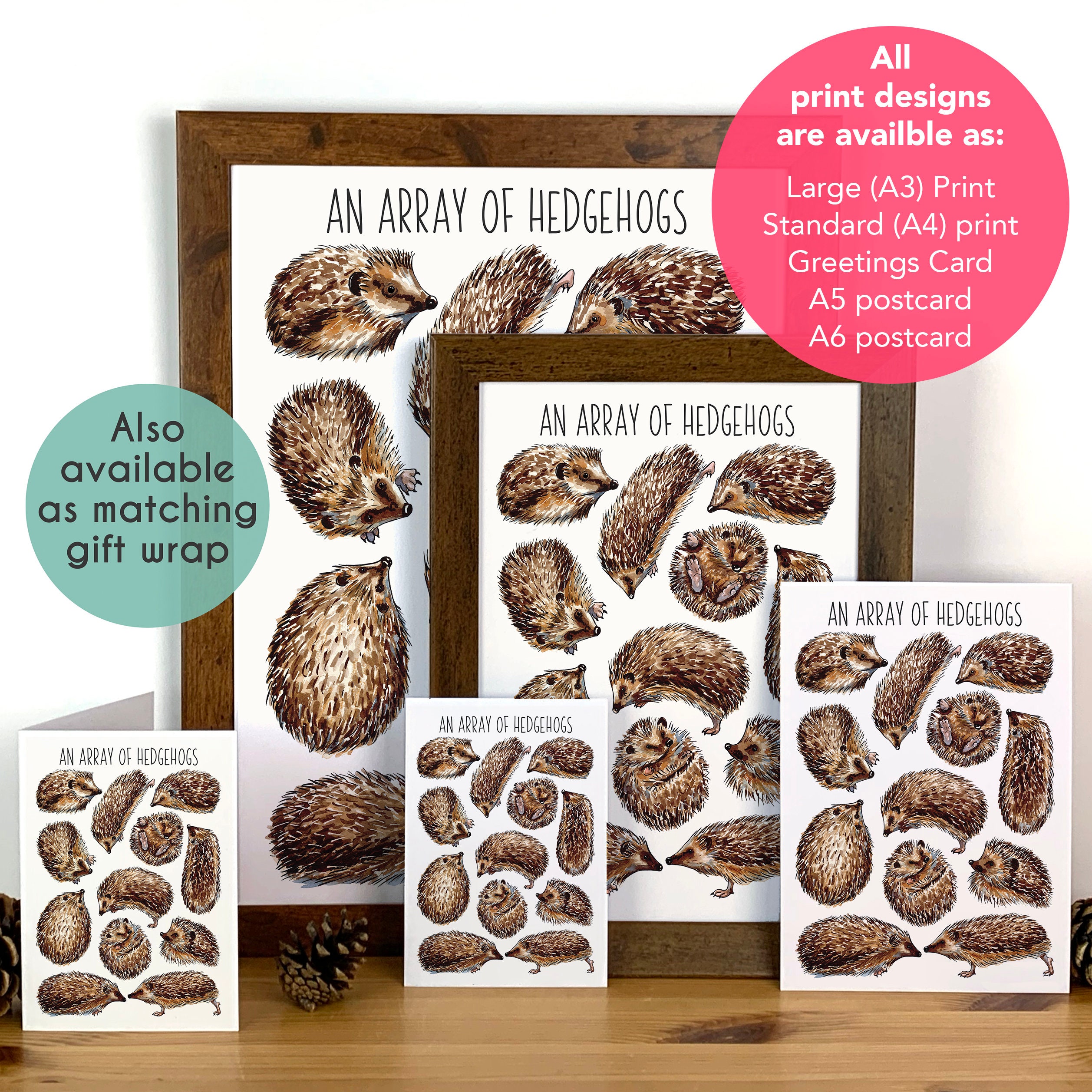 Hedgehogs Watercolour Postcard Array of Hedgehogs Postcard - Etsy UK