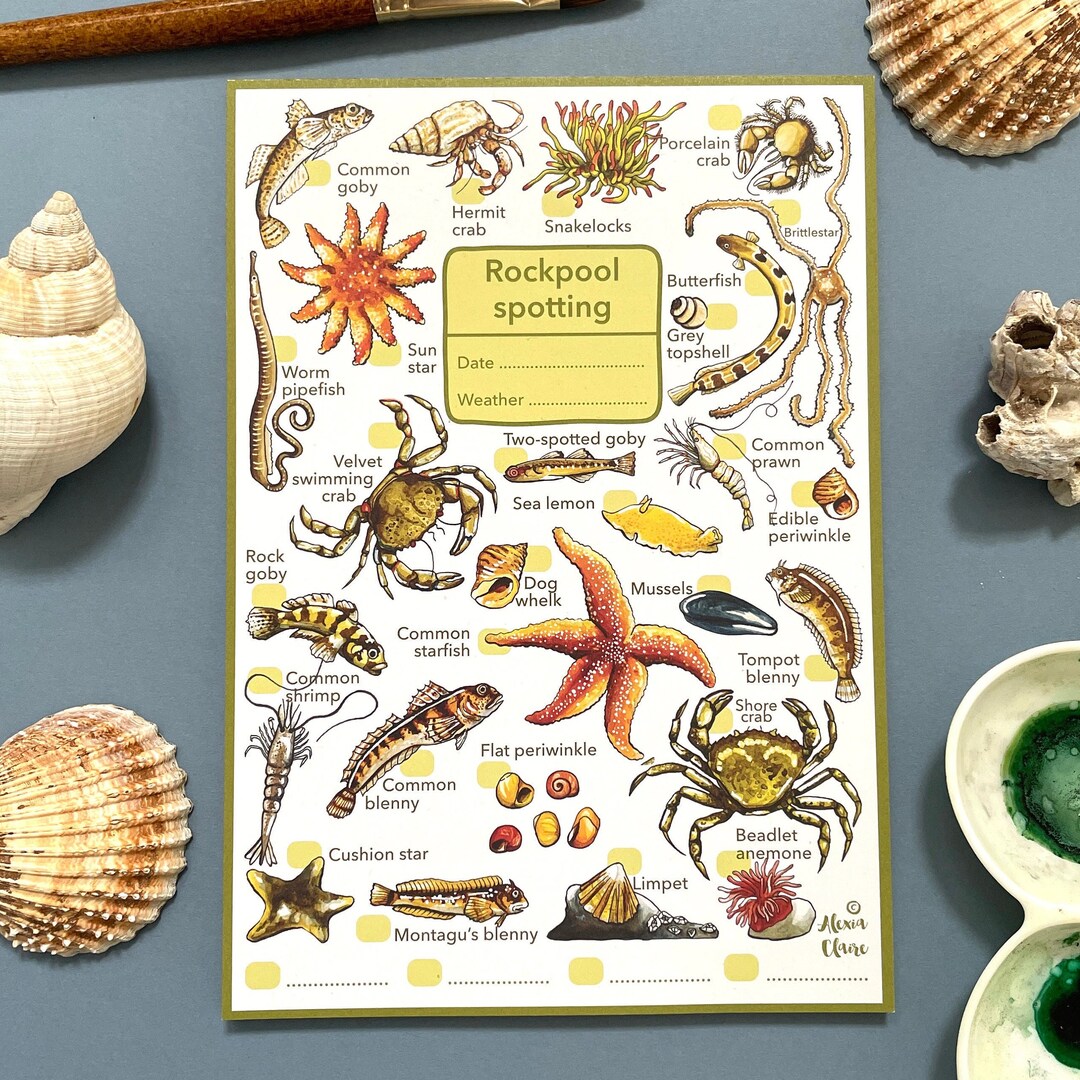 Rockpooling Notepad - Nature Walk Journal Tick Sheet - Etsy