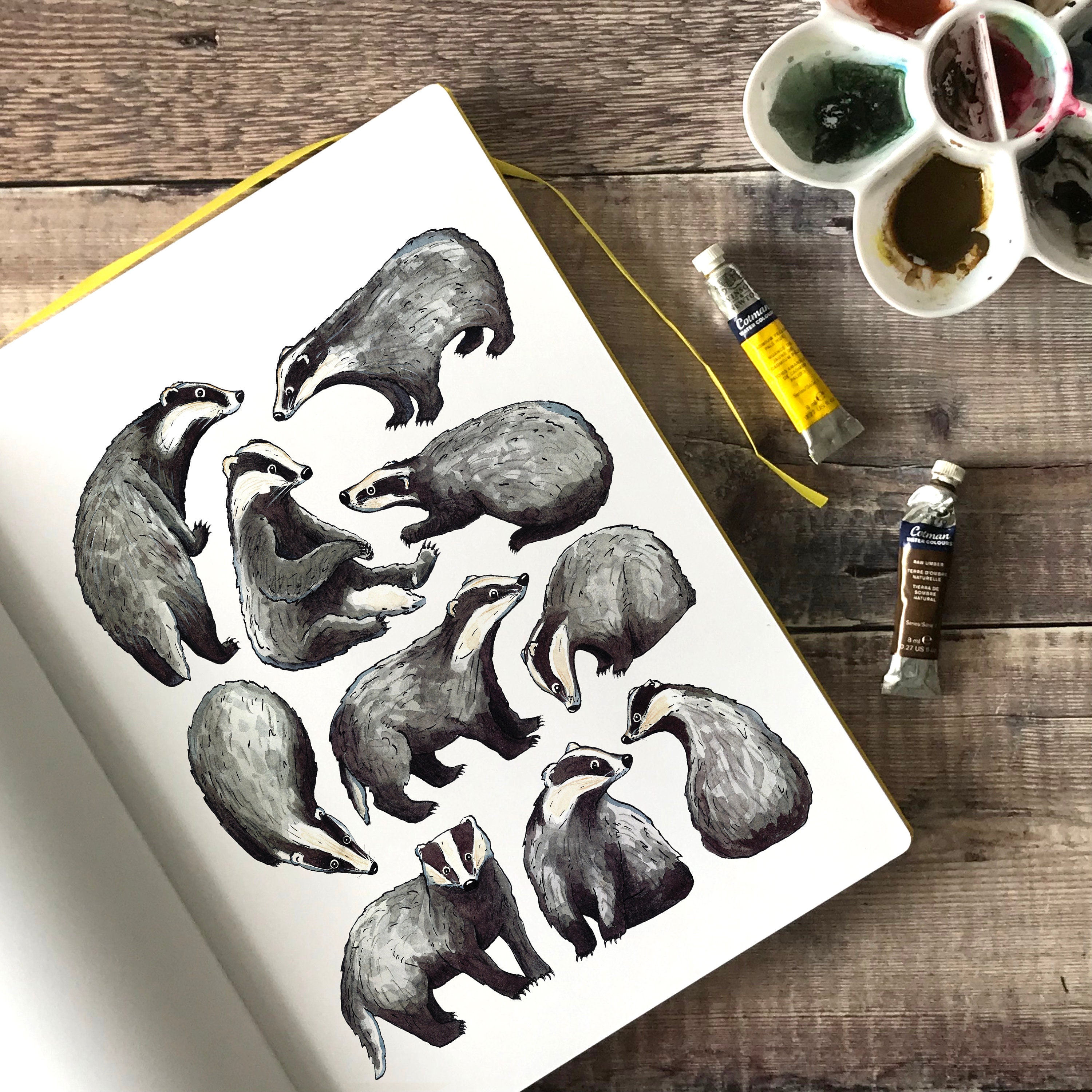 Badger Watercolour Postcard - Cete of Badgers Postcard Notelet - Etsy UK