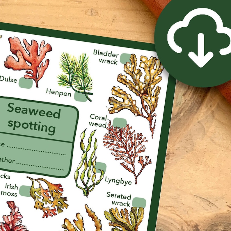 Seaweed Spotting Worksheet Educational Wildlife Printable - Etsy