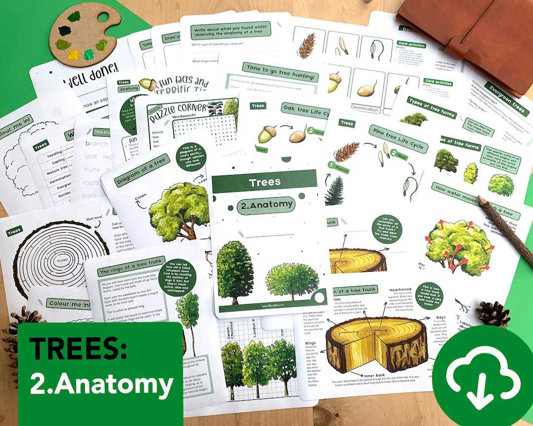Tree Anatomy & Life Cycles Nature Study Pack - Educational Trees ...