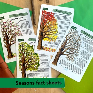 Tree Seasons Nature Study Pack - Educational Trees Printable - Home ...