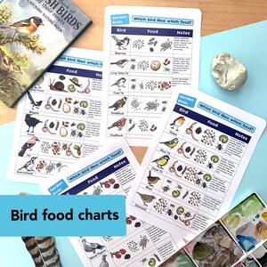 Mega Bundle Garden Birds Nature Learning - Three Mini Studies in One ...