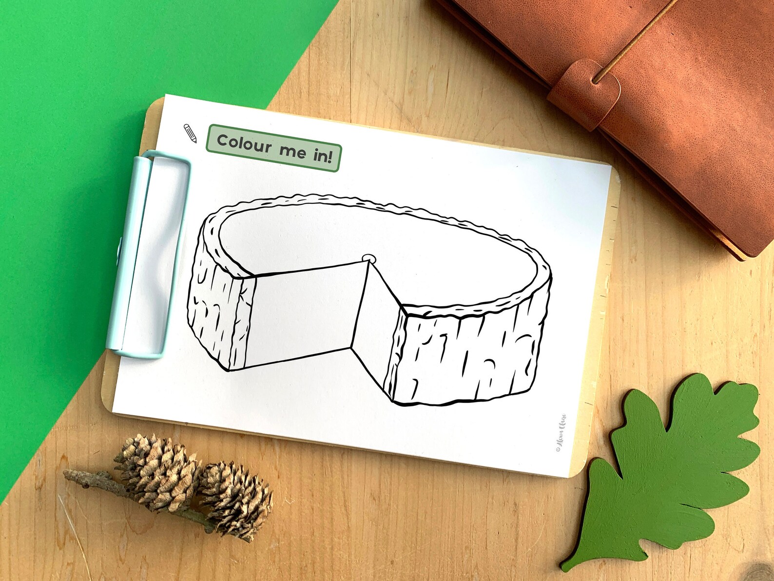 Trees Trunk Slice Colouring in Sheet - Educational Tree Printable - Etsy