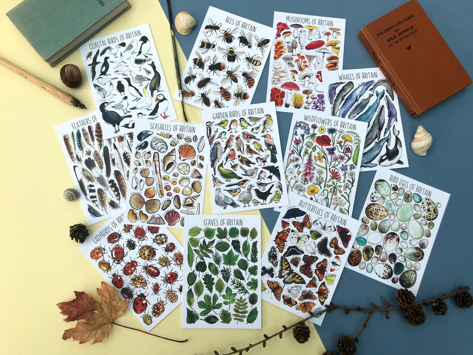 British Wildlife Postcard Pack of Twelve Postcards Pack - Etsy