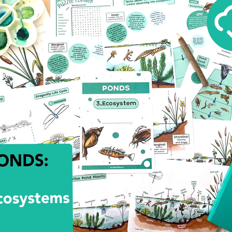 AlexiaClaire - Etsy UK