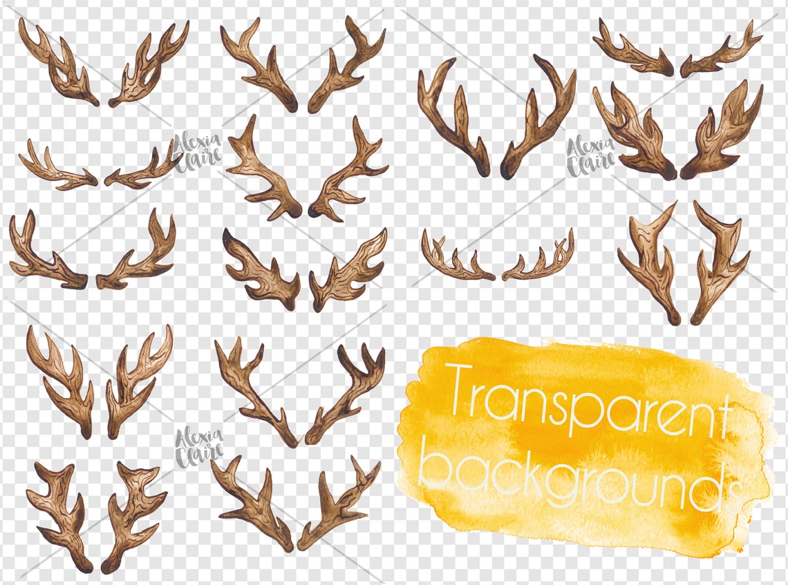 Antlers Watercolour Clipart Watercolour Fall Planner | Etsy