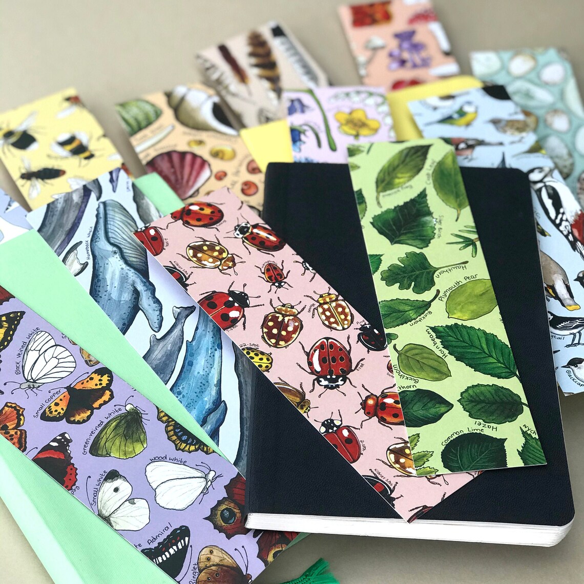 British Wildlife Bookmarks Set of 12 Fun Wildlife Facts | Etsy