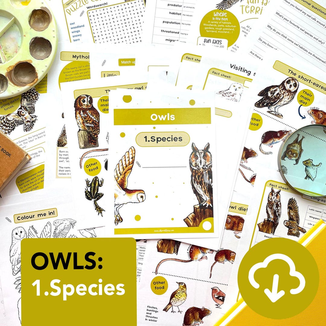 Owl Species Nature Study Pack - Educational Owls Printable - Home ...