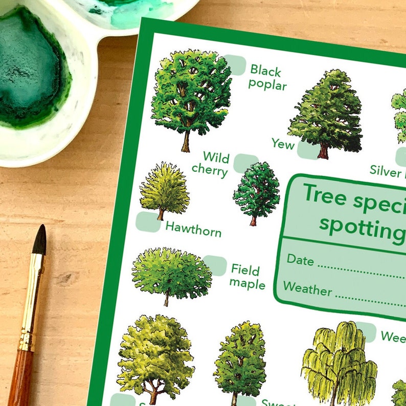 Trees Spotting Worksheet - Educational Wildlife Printable - Etsy