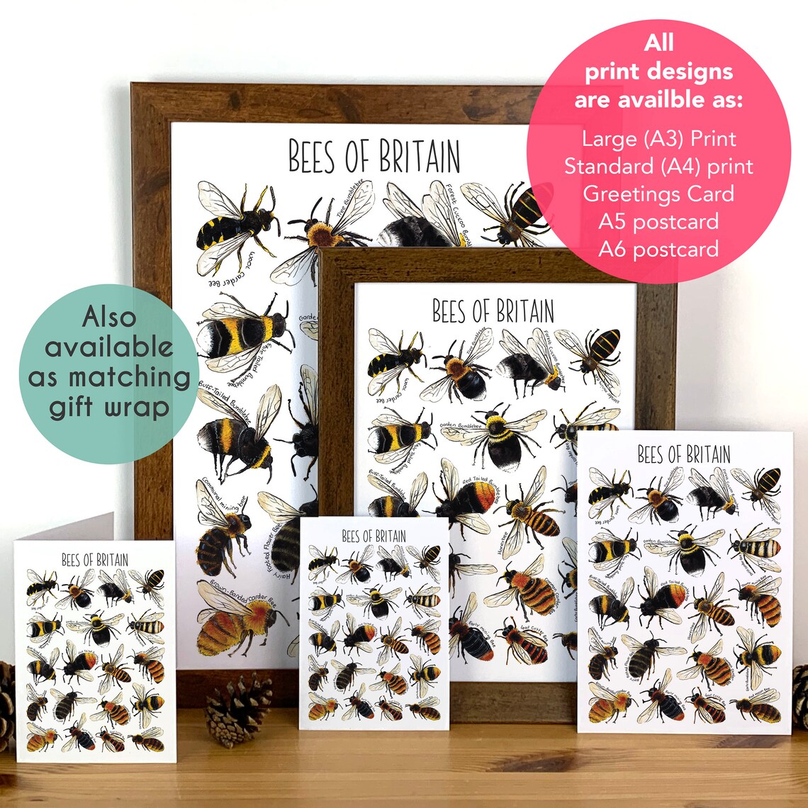Bees of Britain Print Bumblebee Poster Bee Collection Bee - Etsy UK
