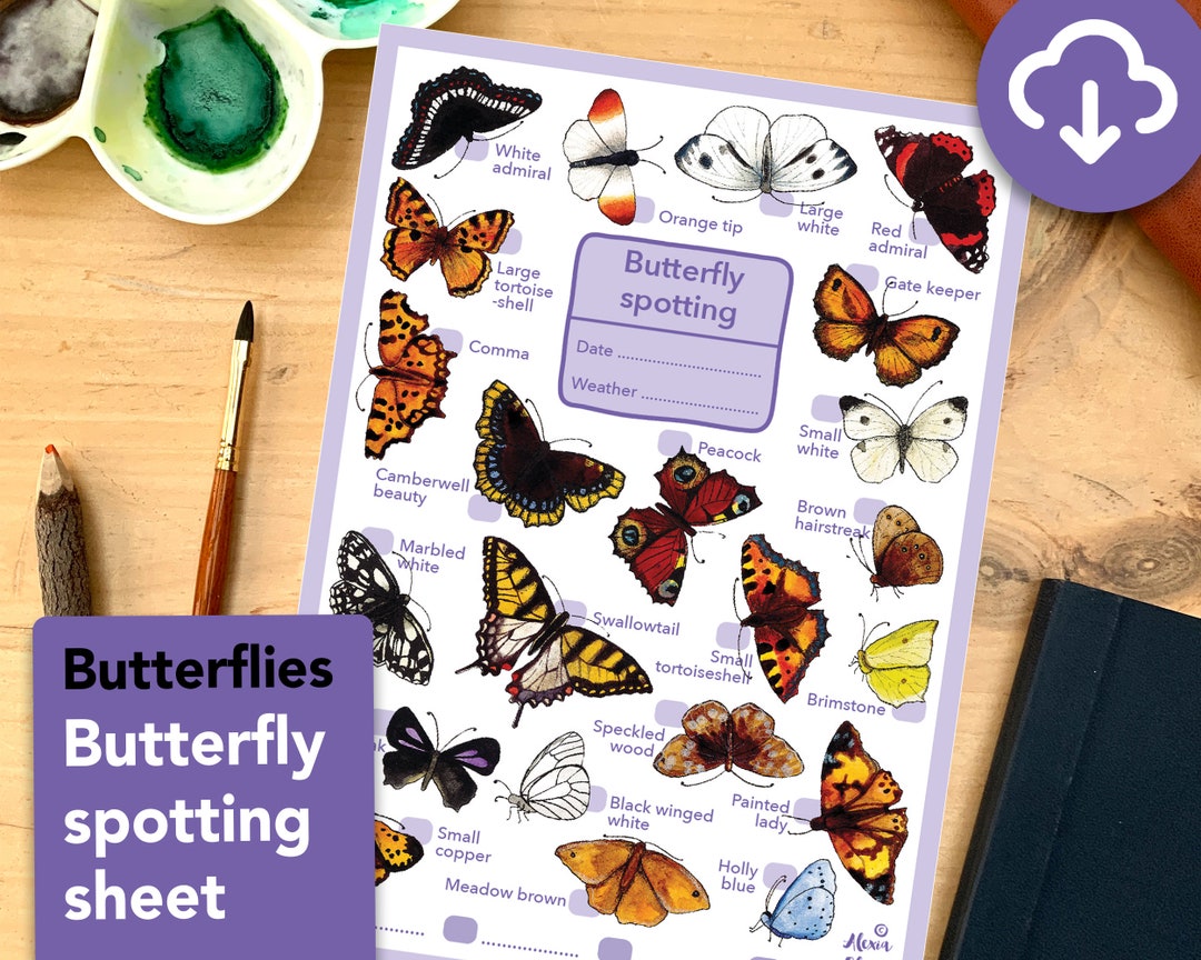 Butterflies Spotting Worksheet - Educational Wildlife Printable - Etsy