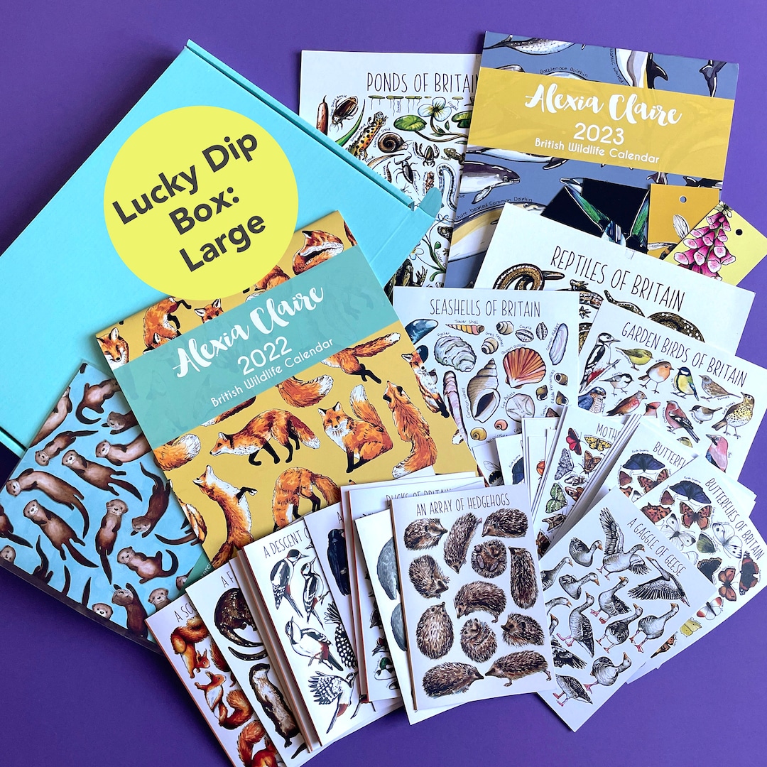 Lucky Dip Box Large Size Stationery Seconds Mystery Box - Etsy