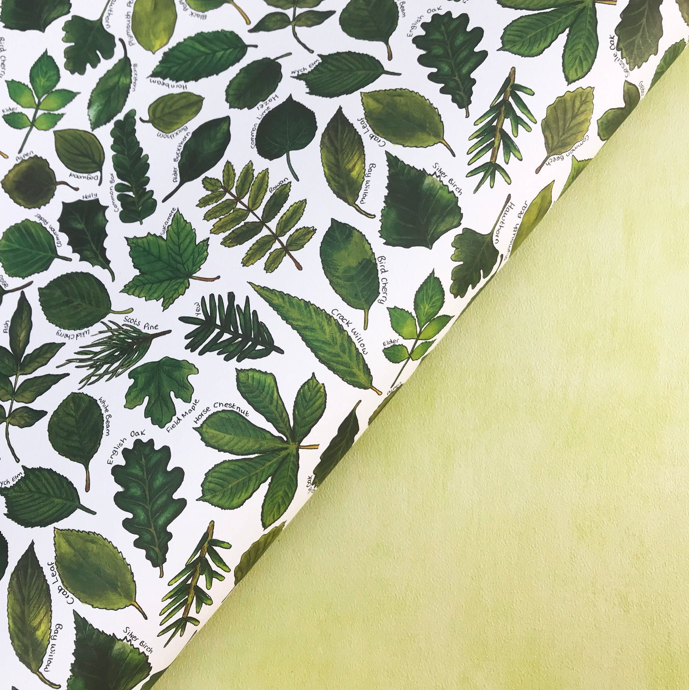 Leaves Wrapping Paper leaf type paper British Leaves Gift | Etsy