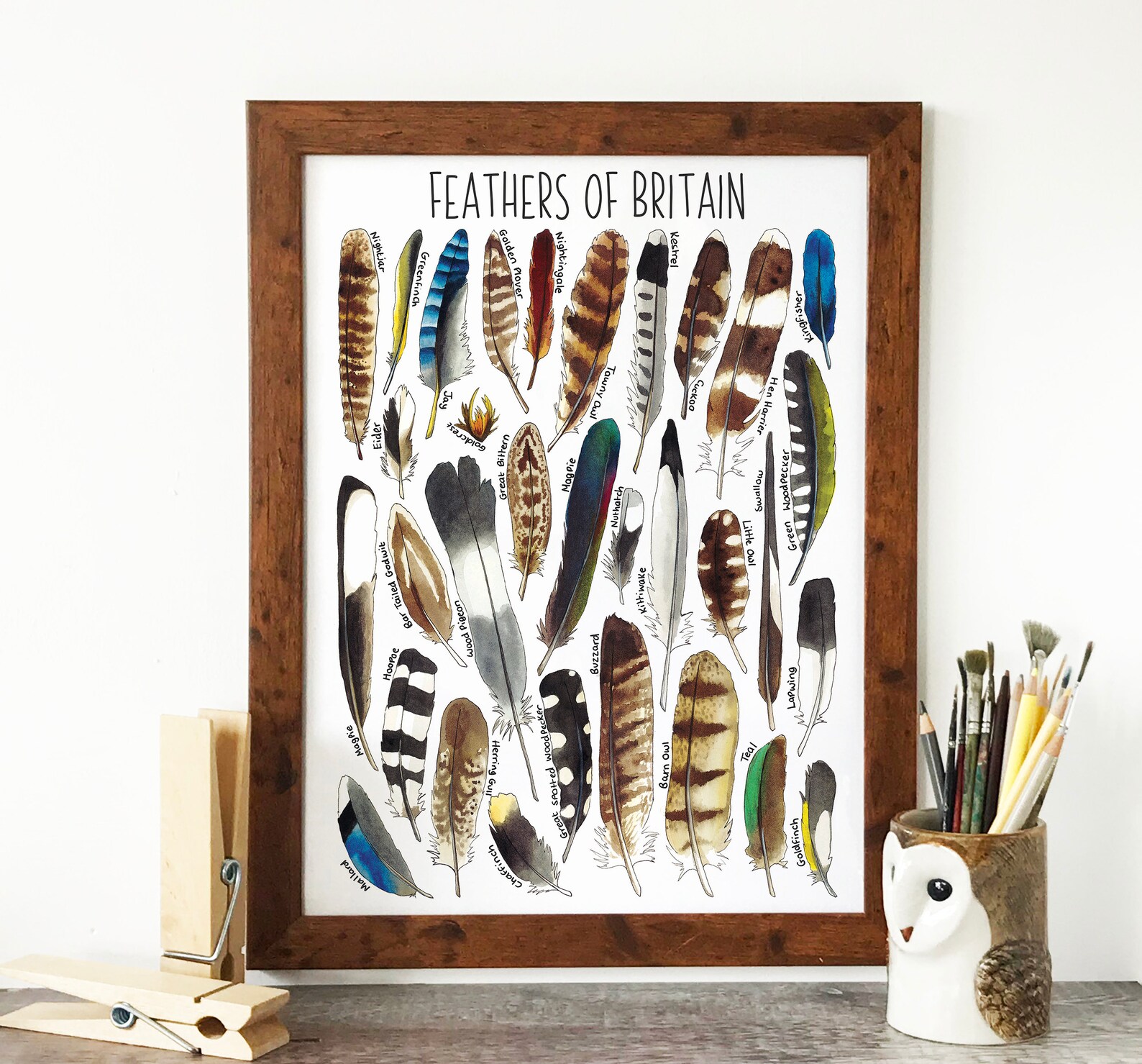 Feathers of Britain Print, Feathers Poster, Feather Collection ...