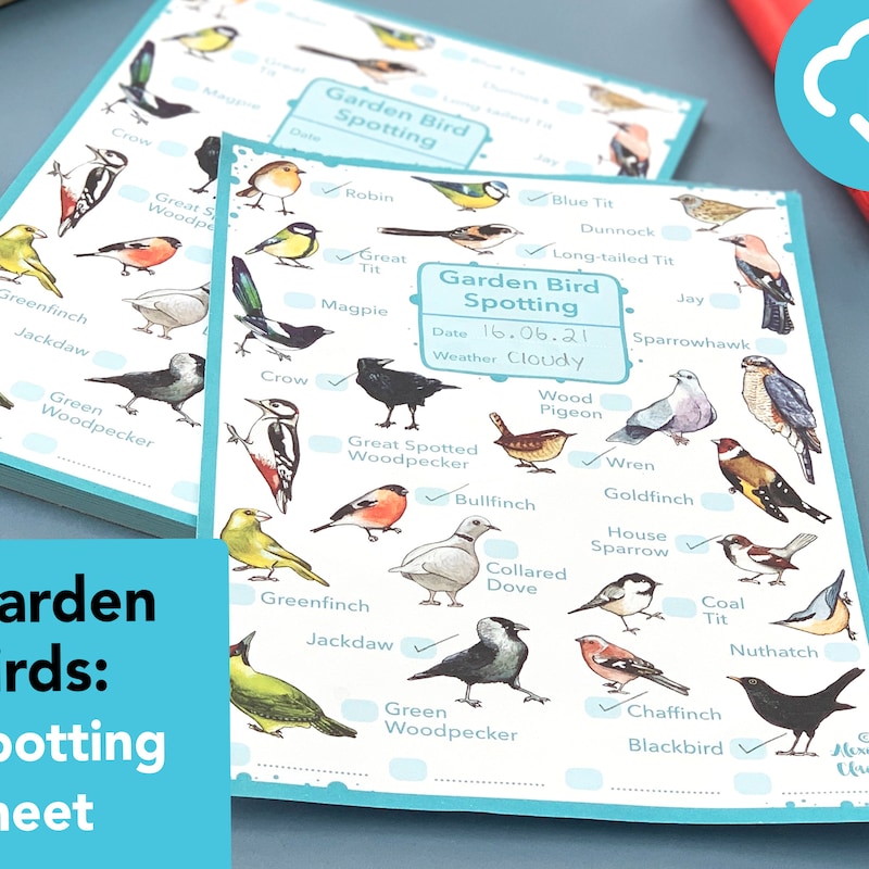 Bird Spotting Printable - Etsy